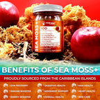sea moss gel for immune support