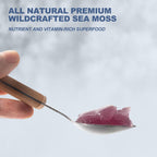 sea moss gel for immune support