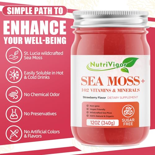 sea moss gel for overall wellness