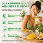 Sea moss gel for skin health