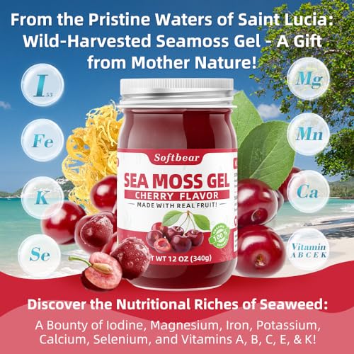 sea moss gel for smoothies