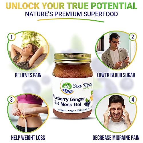 sea moss gel for wellness