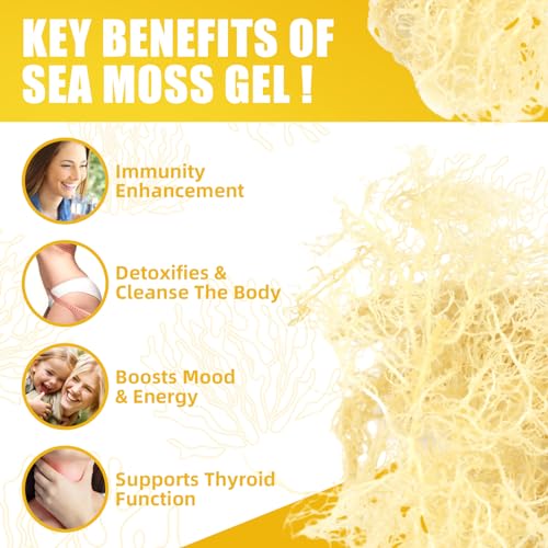 sea moss gel for wellness