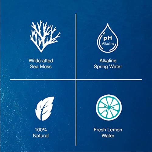 sea moss gel for wellness