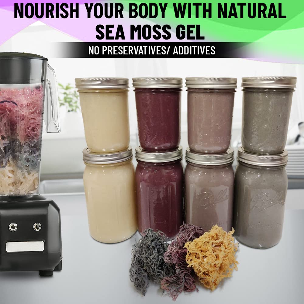 sea moss gel for wellness