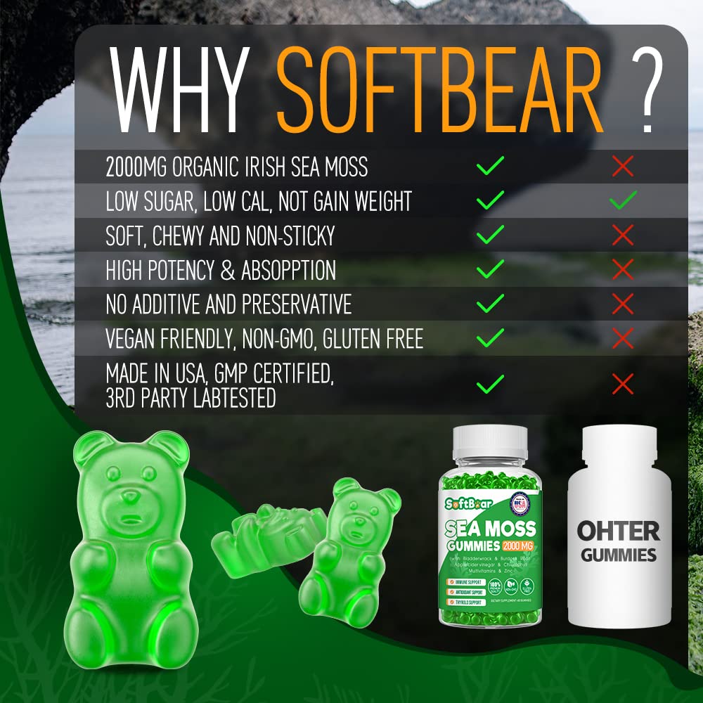 sea moss gummies for better digestion