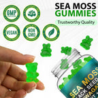 Sea Moss Gummies for daily wellness