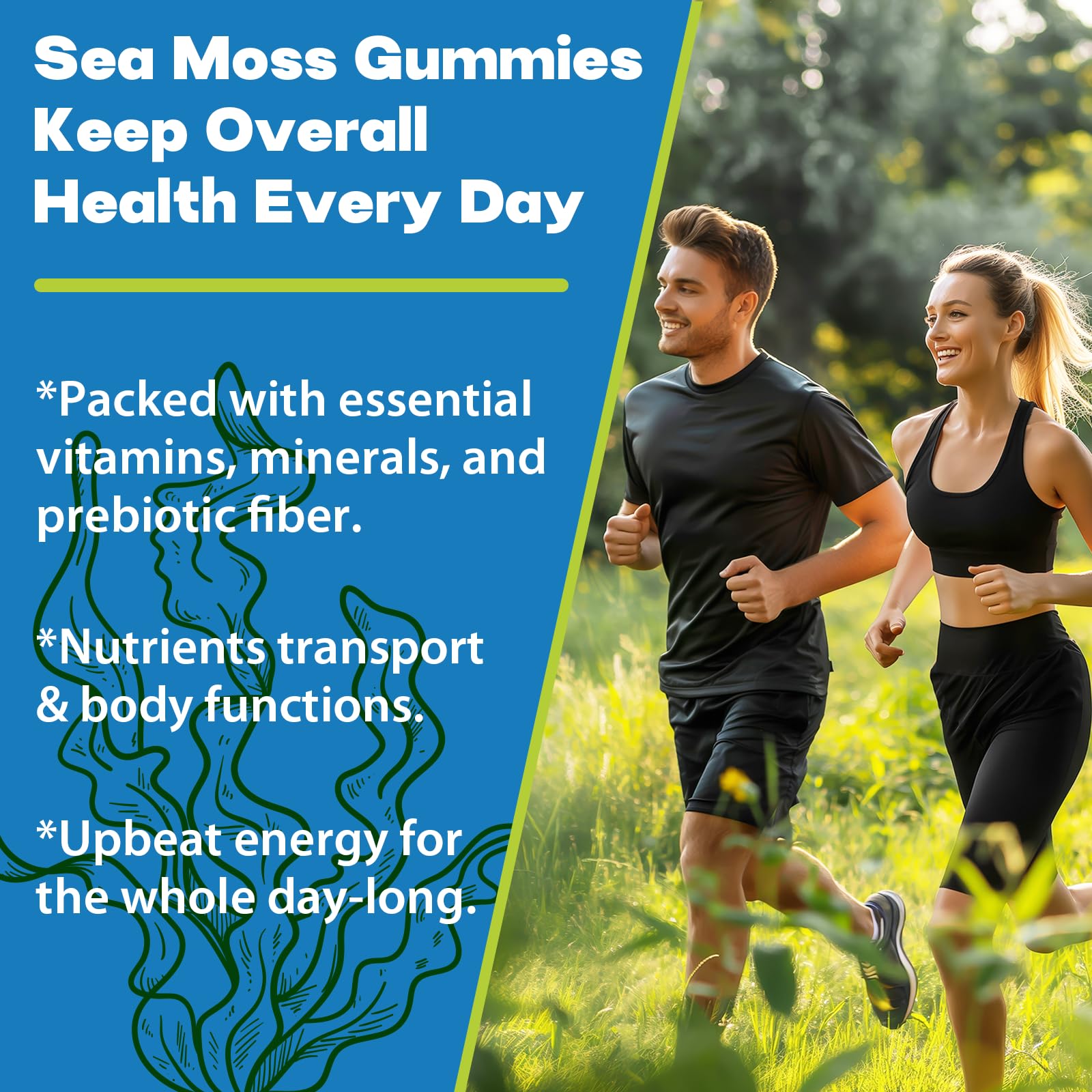 sea moss gummies for digestive health