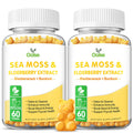 Sea Moss Gummies for immune support