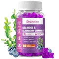 Sea Moss Gummies for immune support