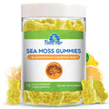 Sea Moss Gummies for immune support