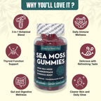 Sea Moss Gummies for immune support