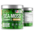 sea moss gummies for immune support