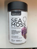 Sea Moss Gummies for immunity support