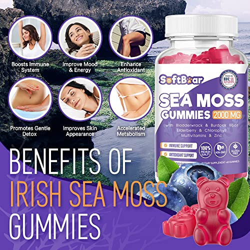 Sea moss gummies for natural energy boost