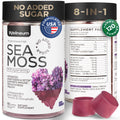 Sea Moss Gummies for women's health