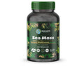 Sea Moss immune support supplement