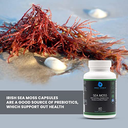Sea Moss multiminerals for active living