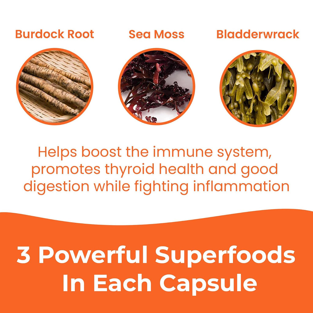sea moss multivitamin for seniors
