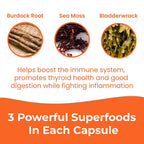 sea moss multivitamin for seniors