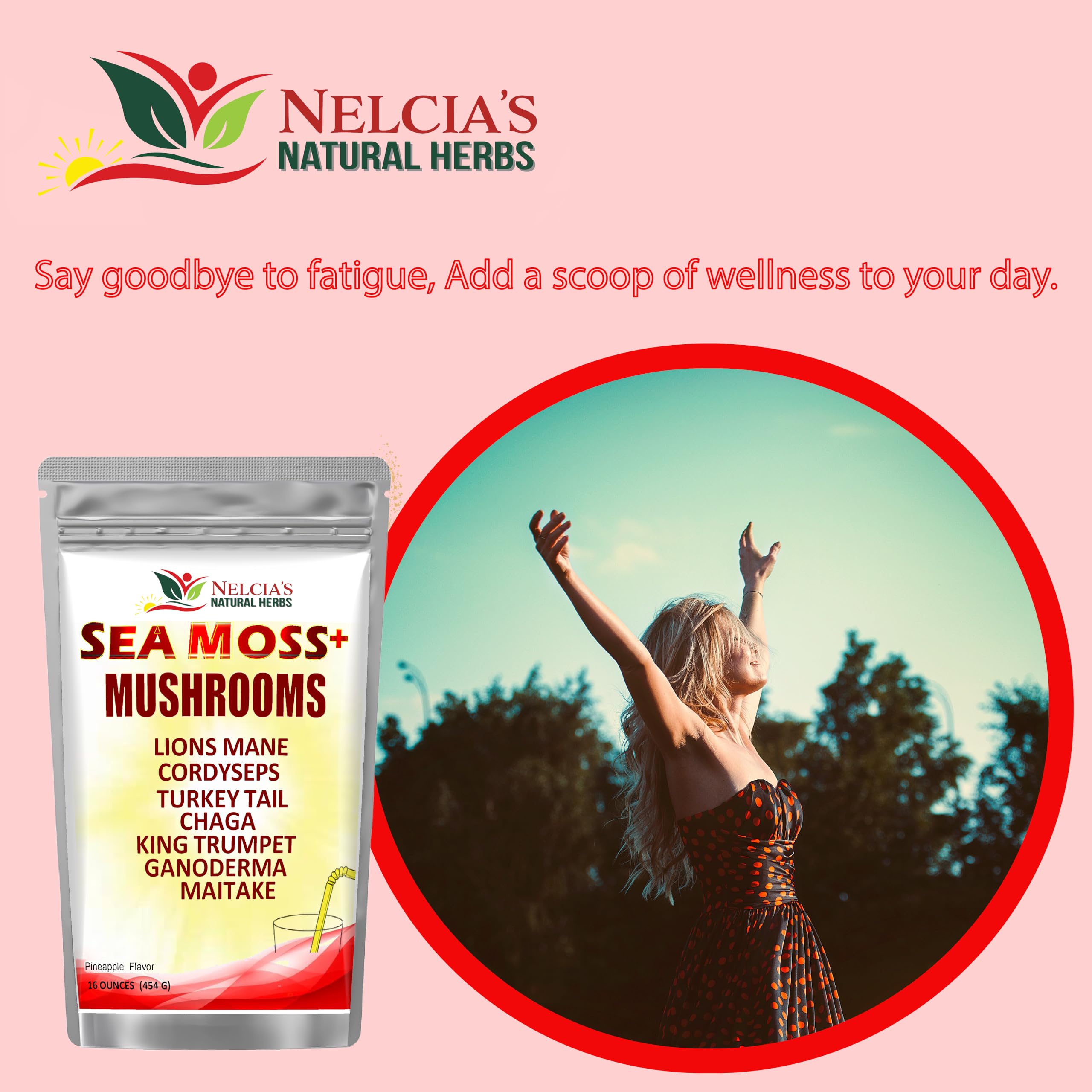 Sea Moss Mushroom for holistic health