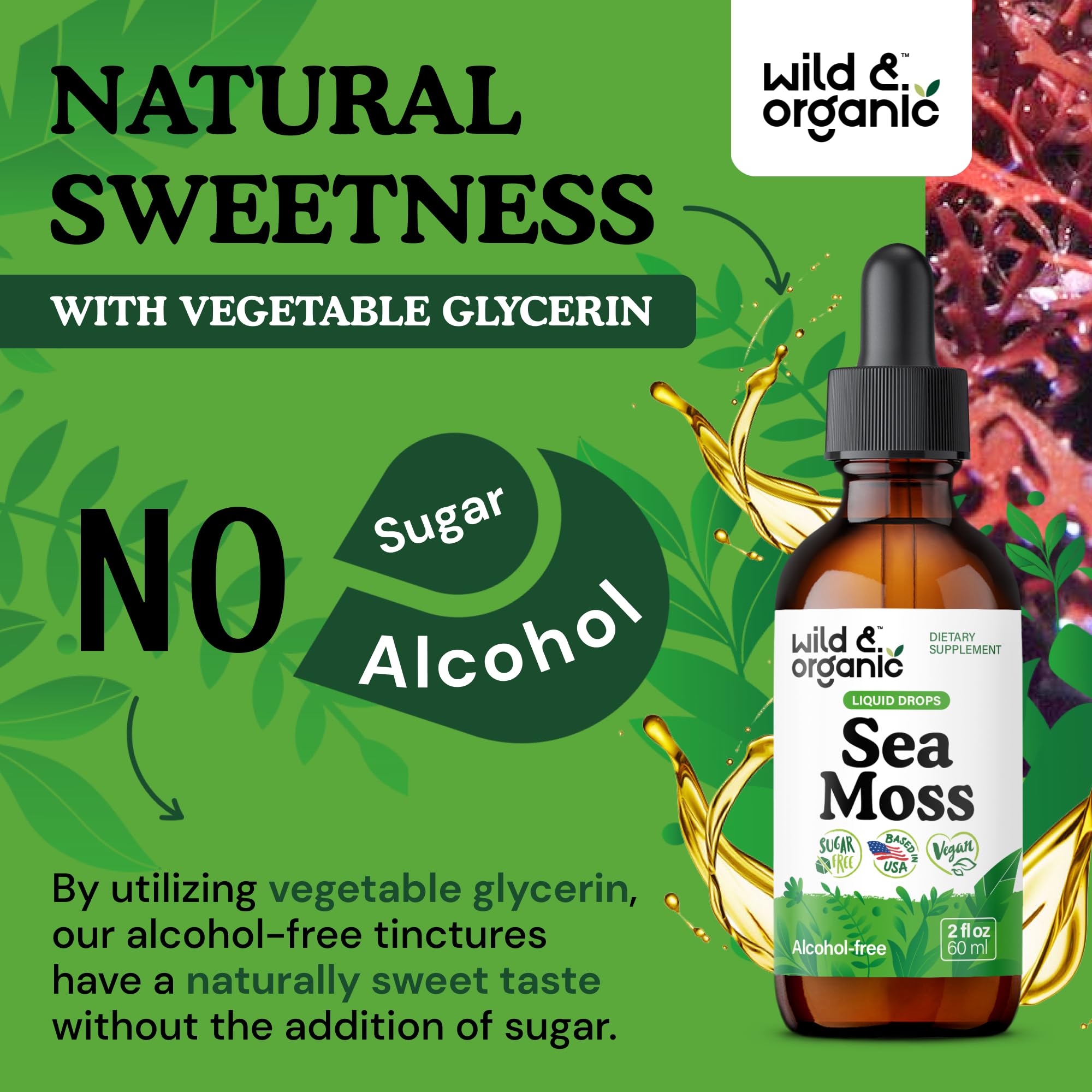 sea moss tincture for overall health