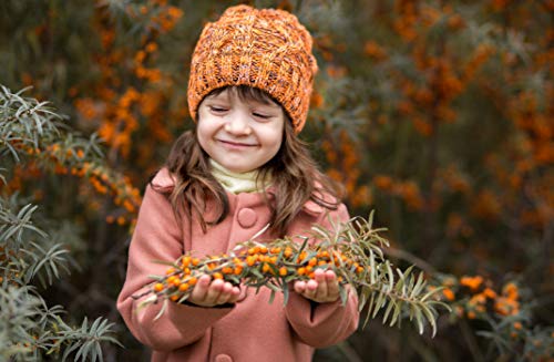 Seabuckthorn powder for immune support