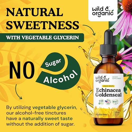 seasonal defense with echinacea extract