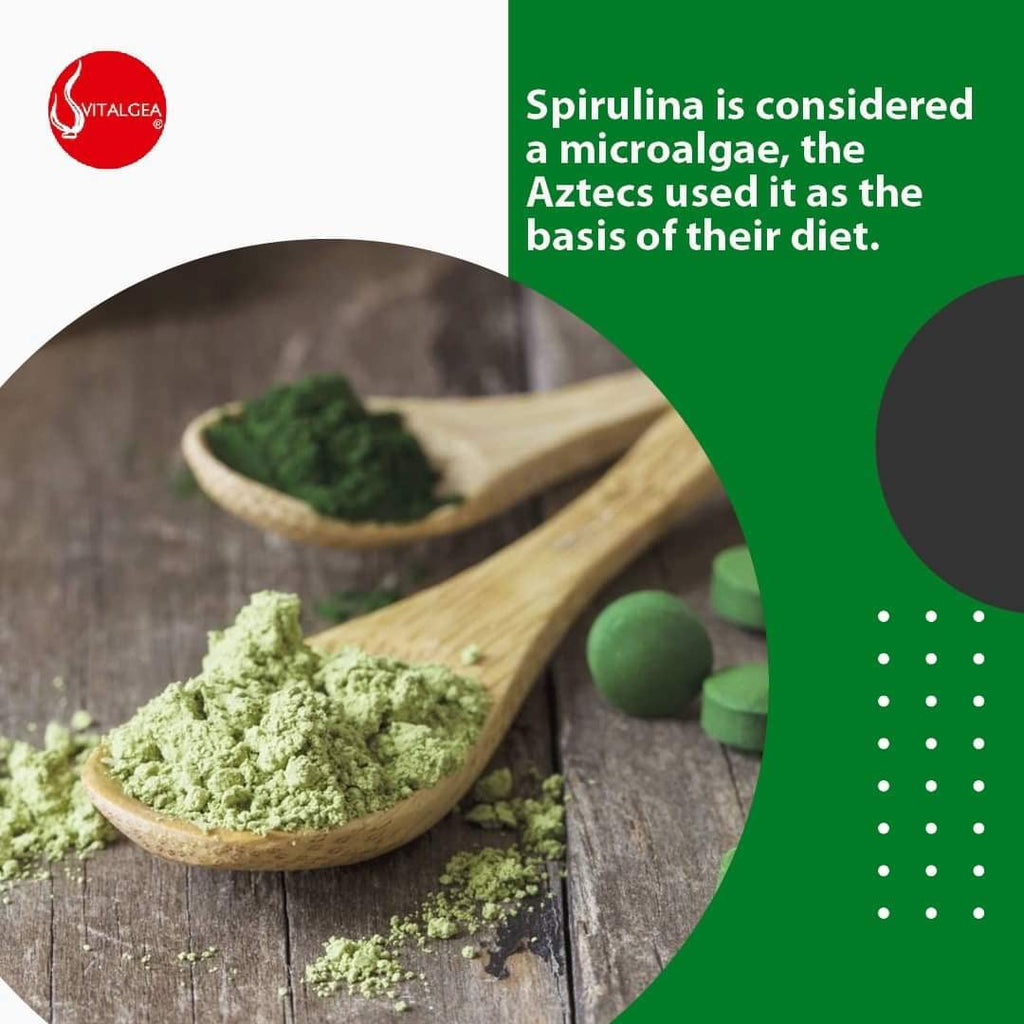 seaweed-based health supplement for energy