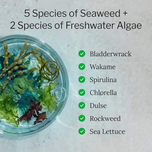 seaweed blend for thyroid support