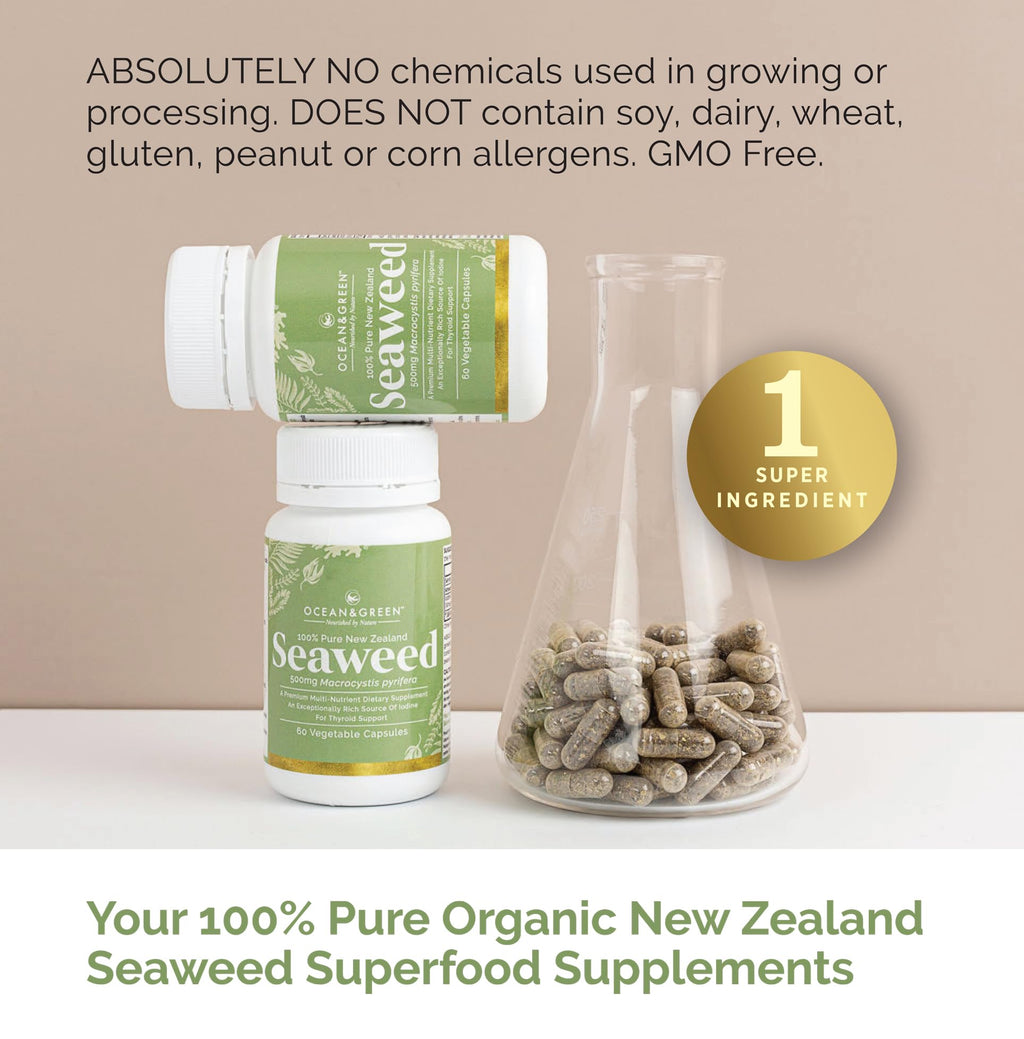 seaweed capsules for daily nutrition