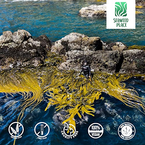seaweed supplement for daily nutrition