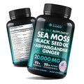 Secret Element sea moss capsules