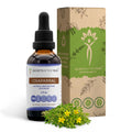 Secrets herbal supplements for wellness
