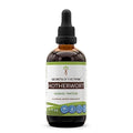 Secrets Motherwort tincture benefits