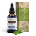 Secrets of the Tribe Andrographis extract