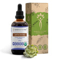 Secrets of the Tribe artichoke extract benefits