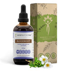 Secrets of the Tribe Bloodroot tincture benefits