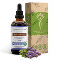 Secrets of the Tribe Bugleweed tincture benefits