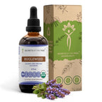 Secrets of the Tribe Bugleweed tincture benefits