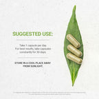 Secrets of the Tribe Bupleurum capsules