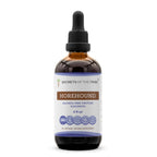 Secrets of the Tribe horehound tincture benefits
