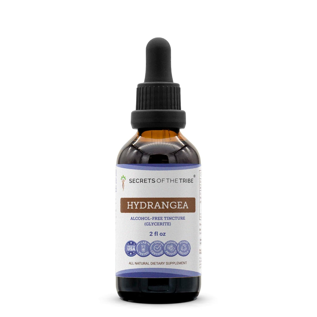 Secrets of the Tribe Hydrangea Tincture benefits