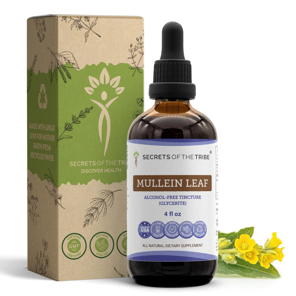 Secrets of the Tribe Mullein tincture benefits