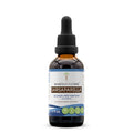Secrets of the Tribe sarsaparilla tincture benefits
