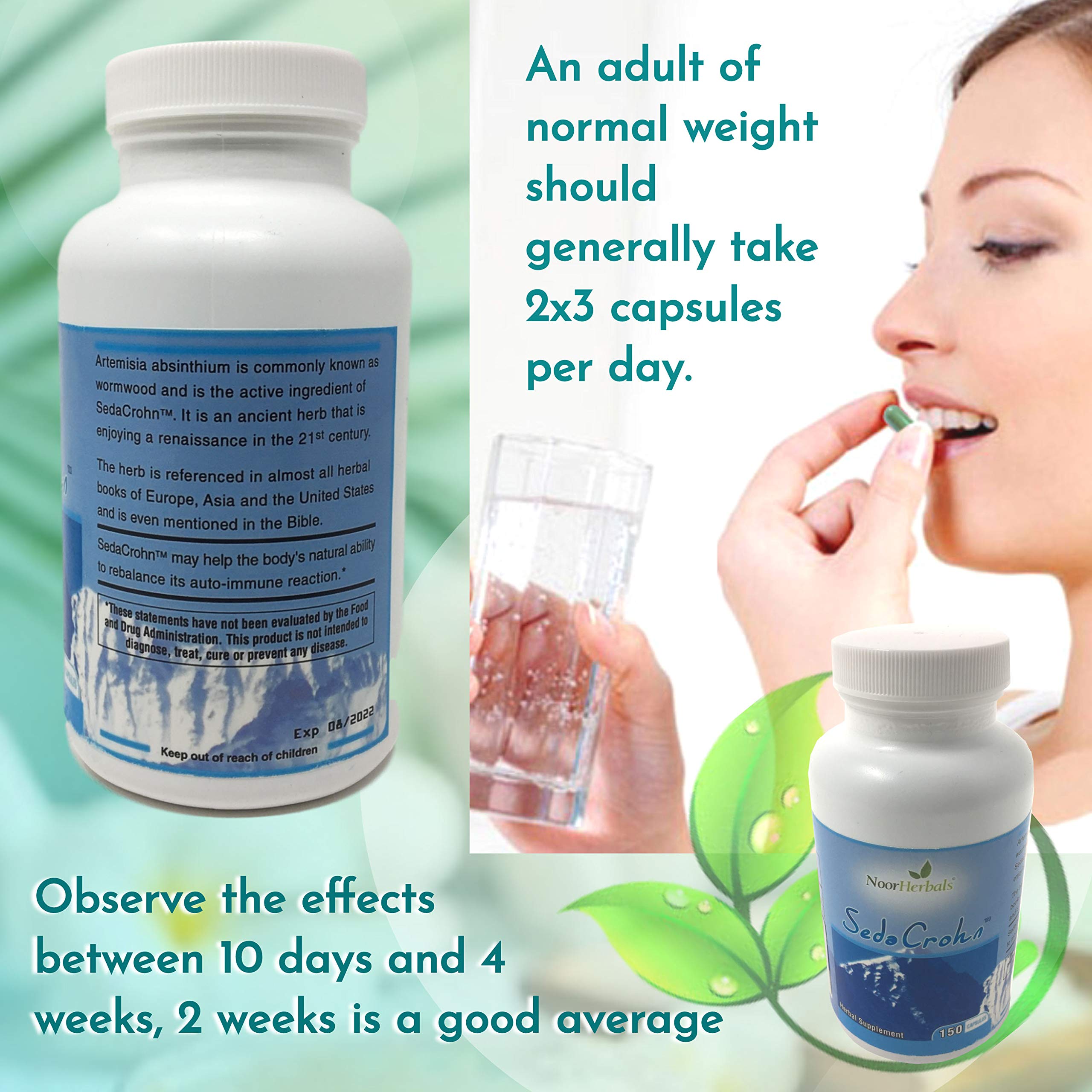 SedaCrohn digestive health herbal blend