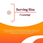 Seeking Health vitamin B12 supplement