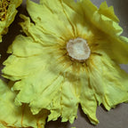 Seeyoung lotus flower infusion