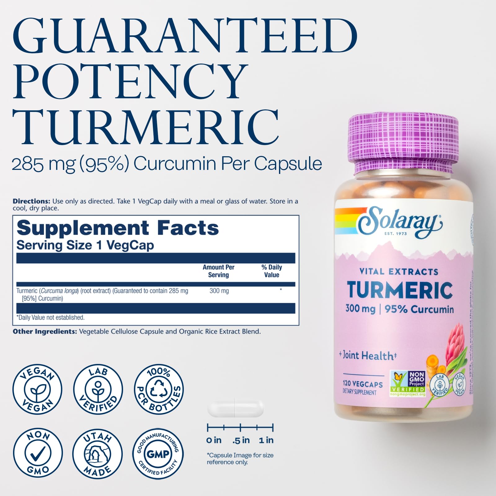 selected botanical ingredients in turmeric
