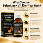 Selenium and Vitamin E for poultry